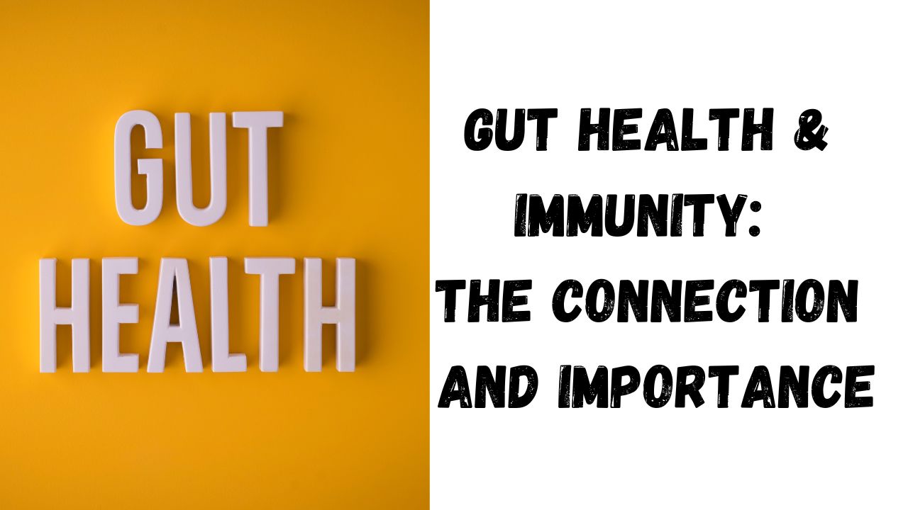 Gut Health & Immunity: The Connection and Importance - JayceReview